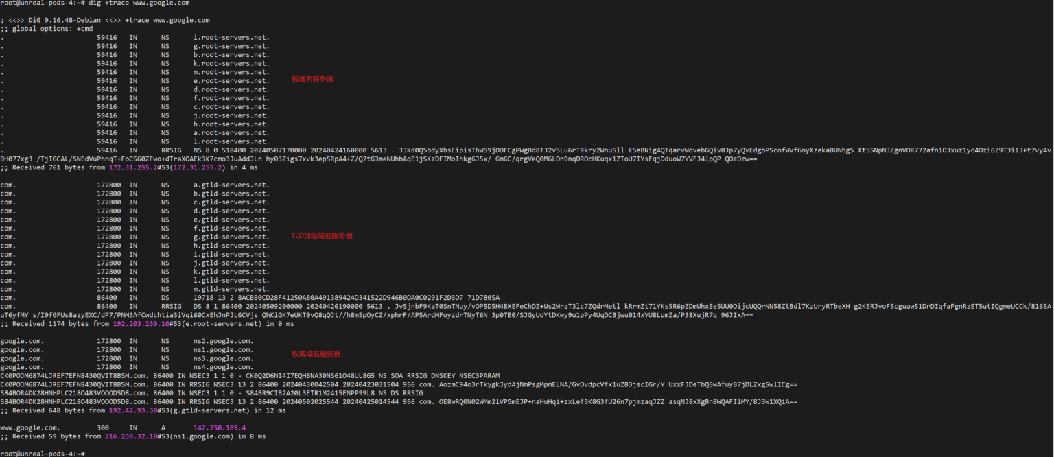 dig +trace 输出解读